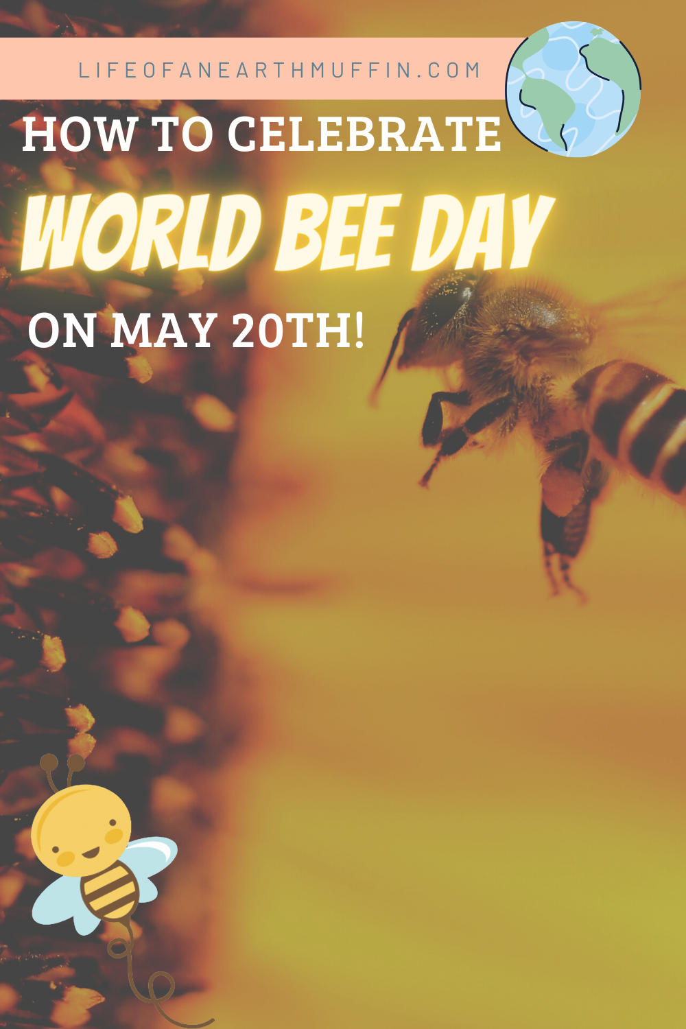 Easy Ways to Support Bees and Celebrate World Bee Day