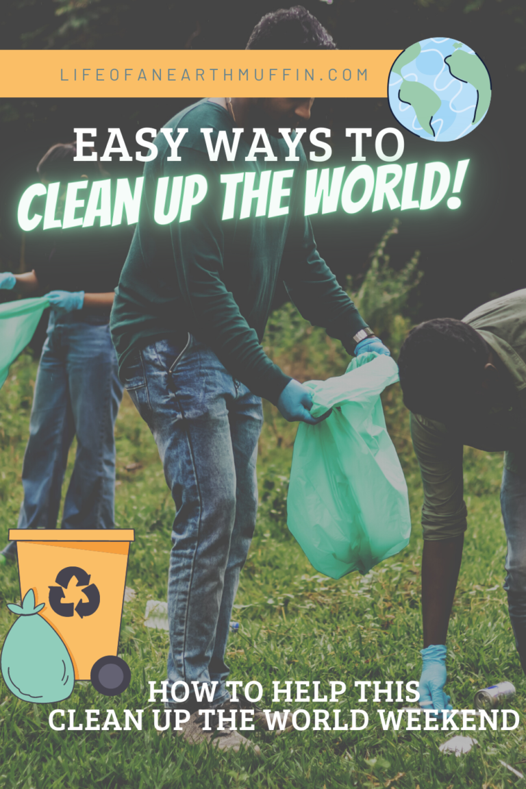 How to Help Clean Up The World!