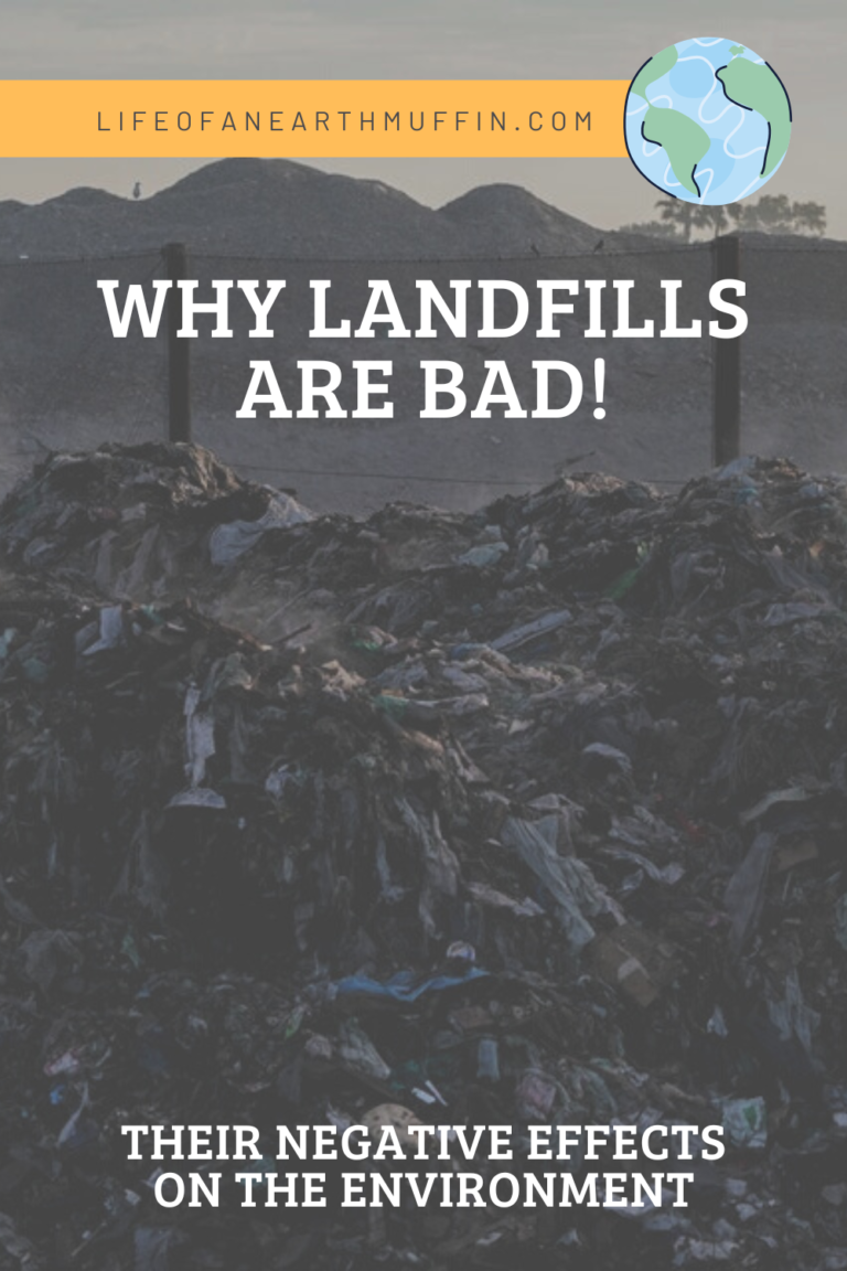 Why Landfills Are Bad & Their Negative Effects On the Environment