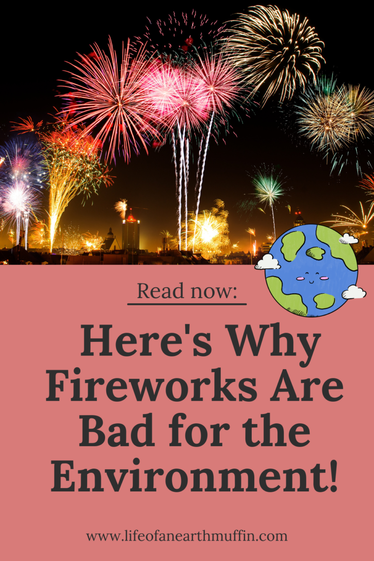 Here's Why Fireworks Are Bad For the Environment