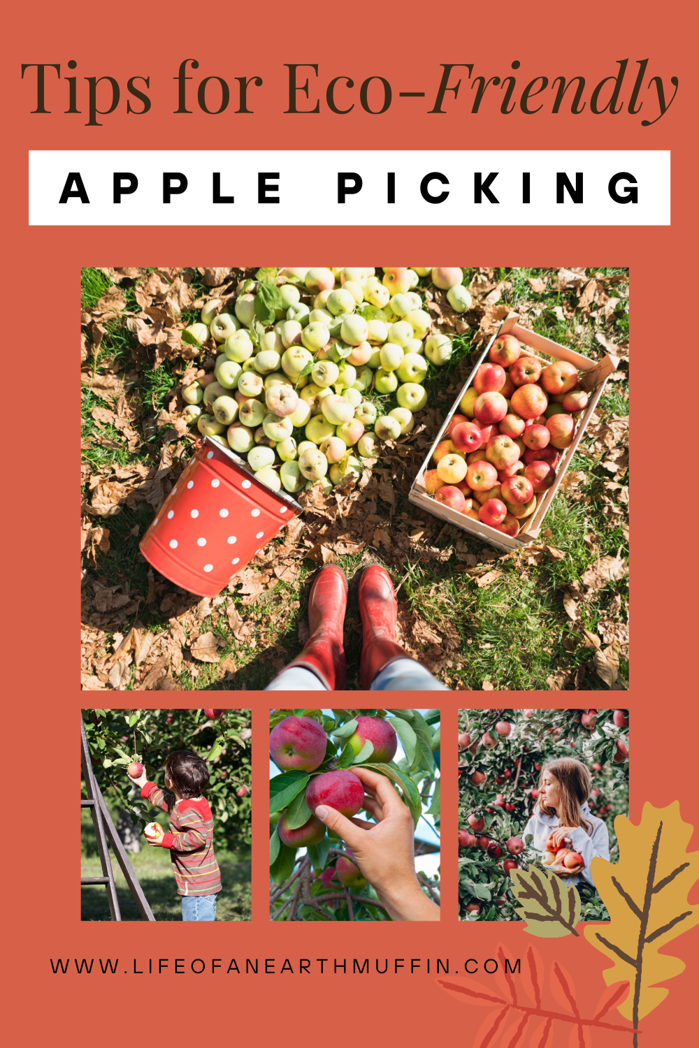 Tips for Eco-Friendly Apple Picking!