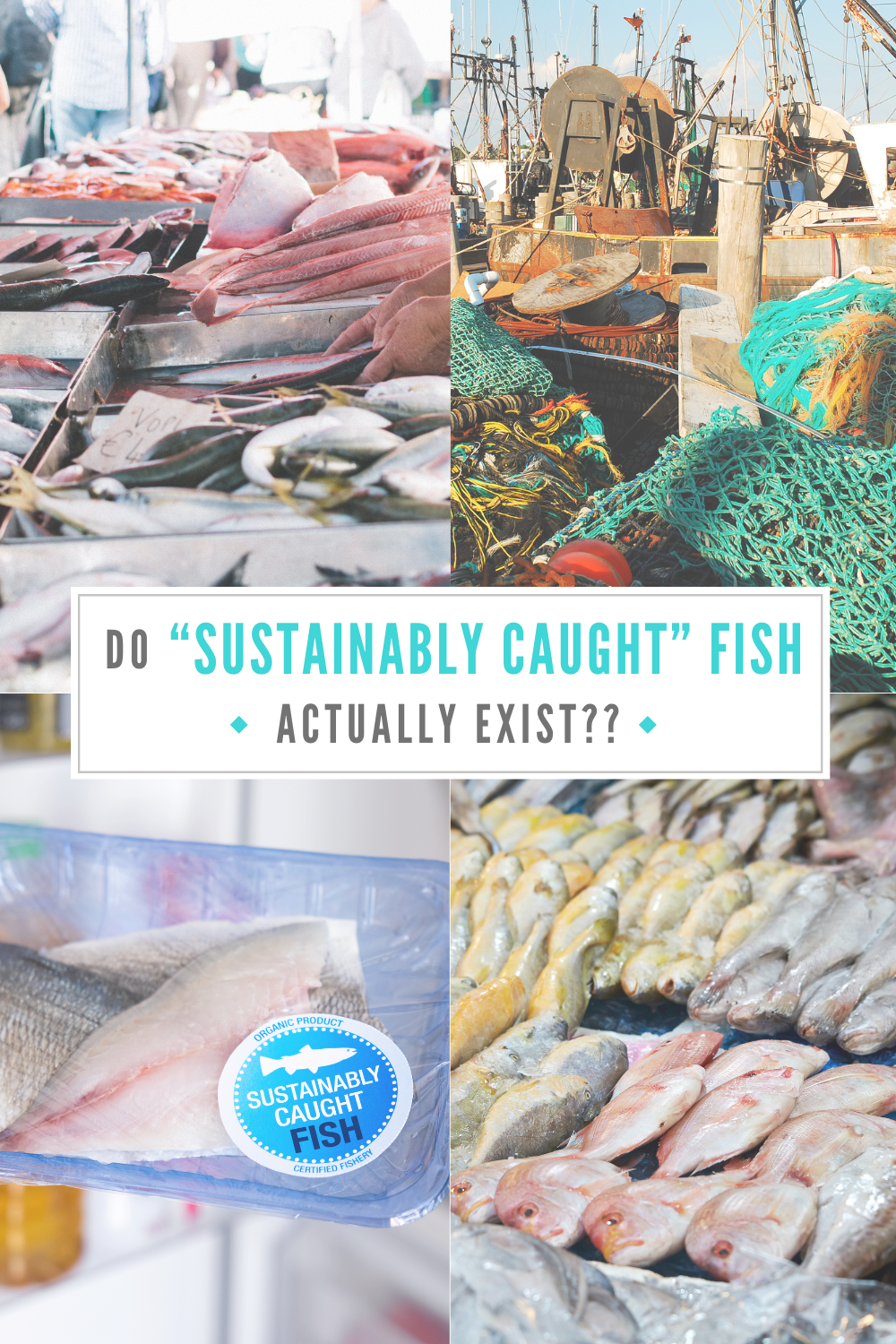 Do "Sustainably Caught" Fish Actually Exist?